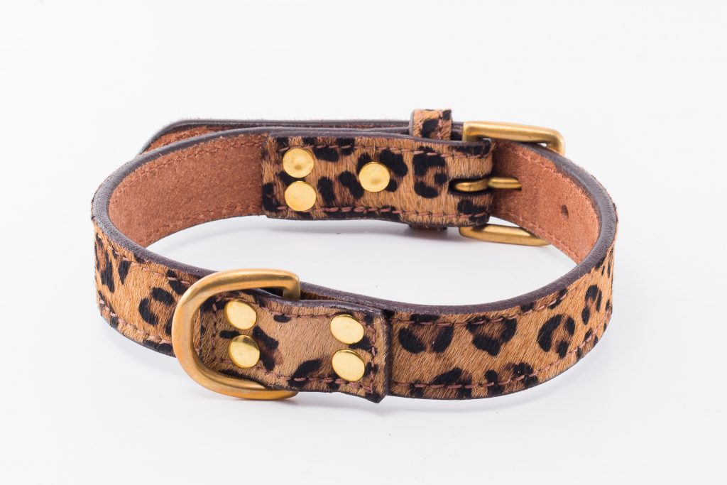 CHEETAH Designer Dog Collar by IWOOF.com™ in Designer Dog Accessories