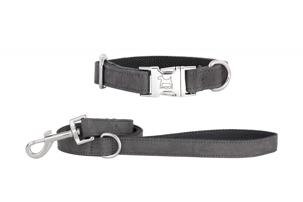 DOLPHIN Designer Dog Collar and Lead set in Silver by IWOOF.com™ in ...